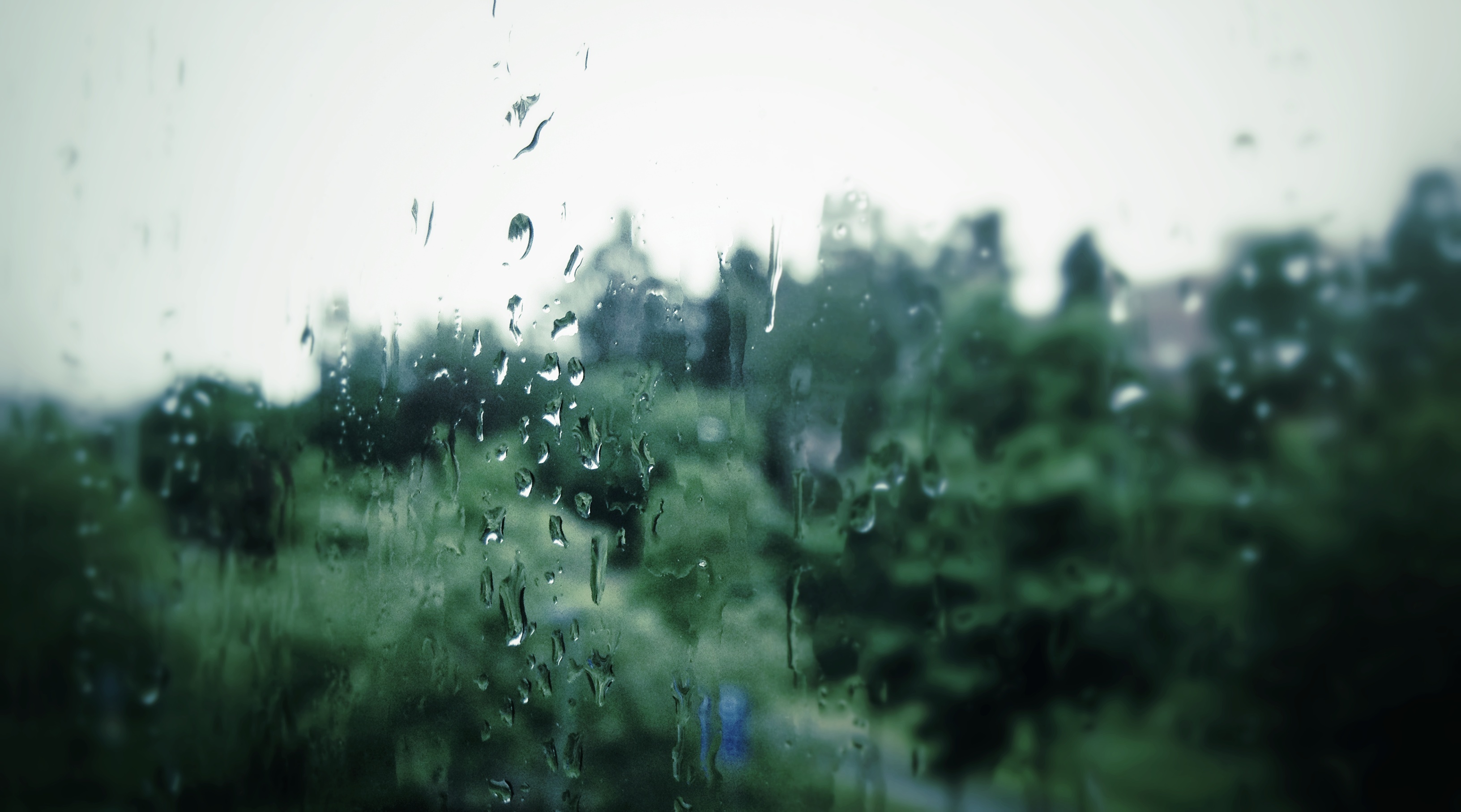 Let the rain fall | Bus Stop Dreams